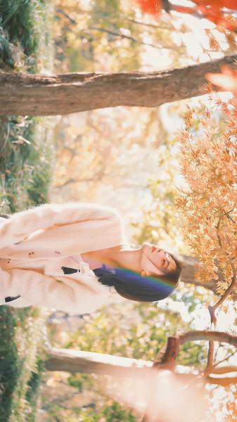 Cecily - Wallpaper library for young people who are always chasing the wind